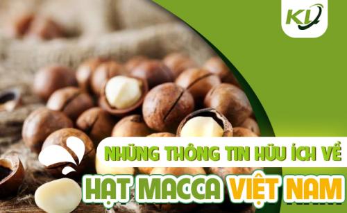 NHỮNG THÔNG TIN HỮU ÍCH VỀ HẠT MACCA VIỆT NAM
